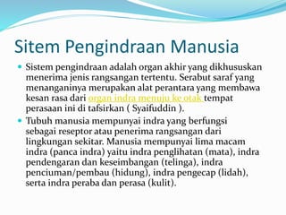 Power point anatomi dan fisiologi sistem pengindraan manusia | PPTX