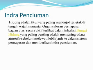 Power point anatomi dan fisiologi sistem pengindraan manusia | PPTX