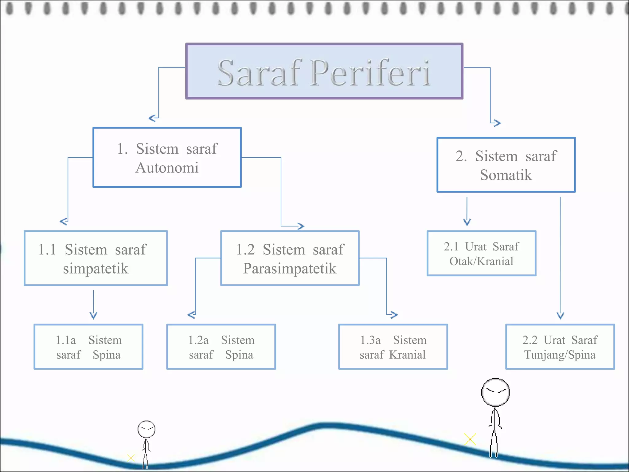 PowerPointAnatomiFisiologiSistemSaraf-090224201540-phpapp02.pptx