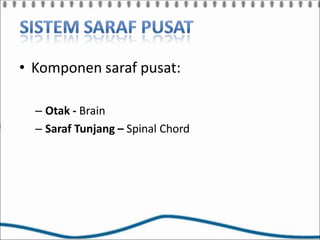 PowerPointAnatomiFisiologiSistemSaraf-090224201540-phpapp02.pptx