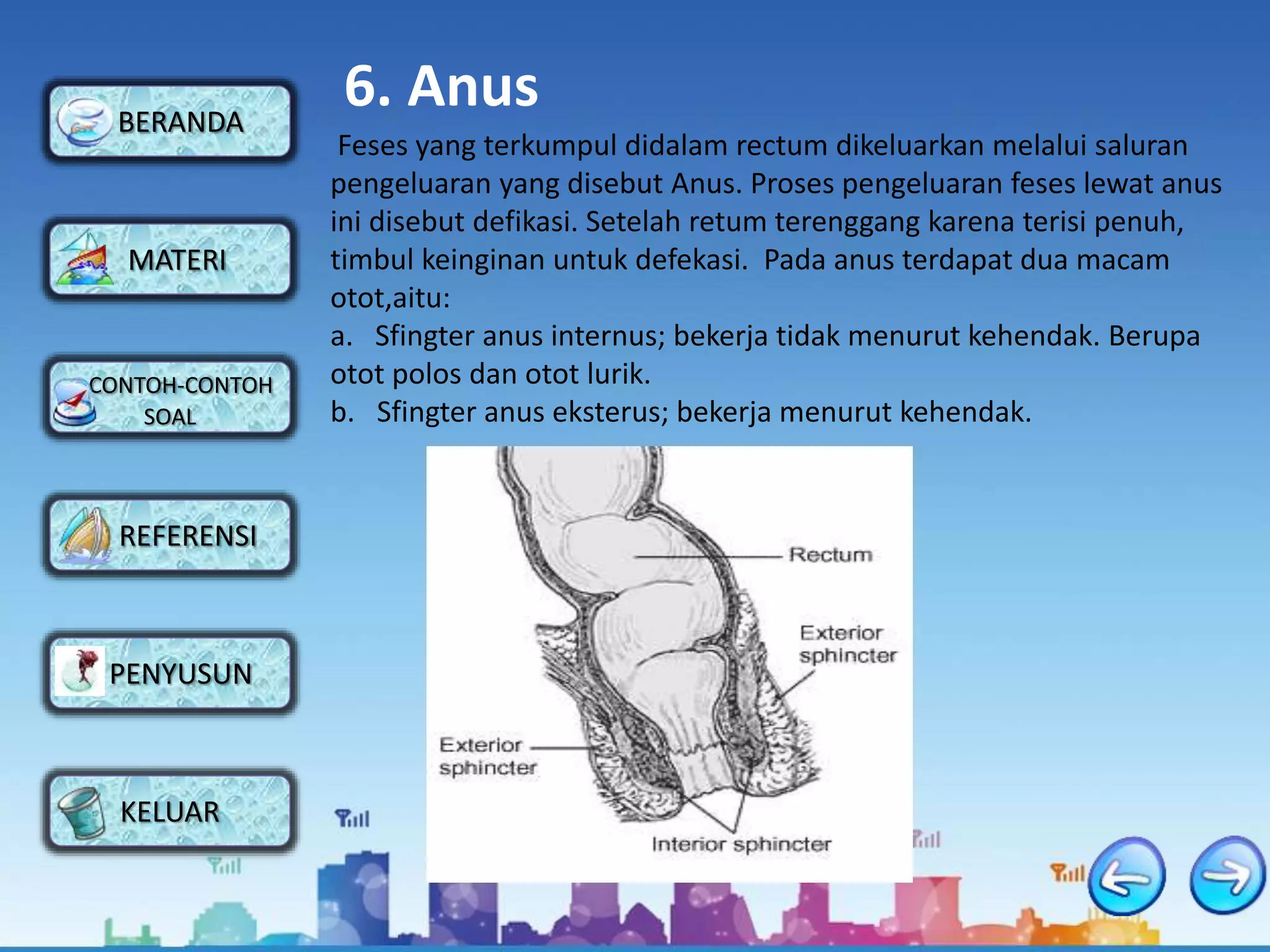 Powerpoint anatomi sistem pencernaan | PPTX