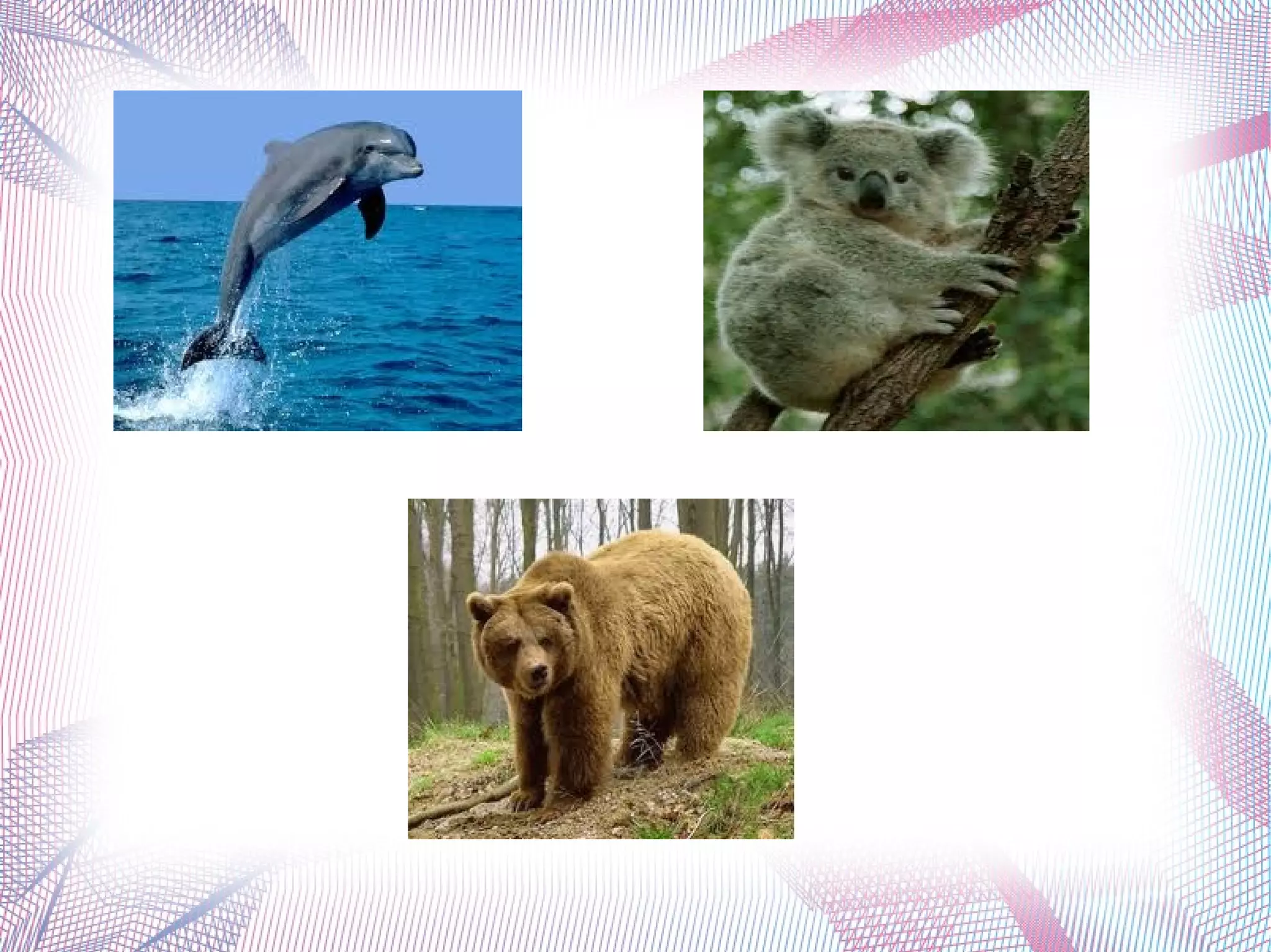 Powerpoint angles | ODP