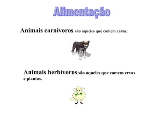 Powerpoint Animais | PPT