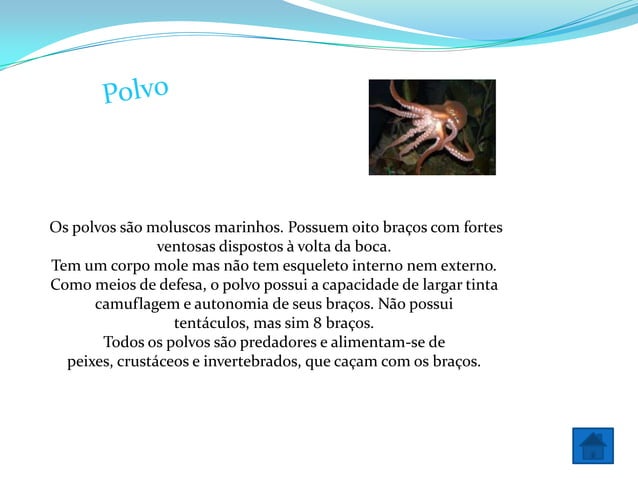Power point animais_marinhos | PPTX