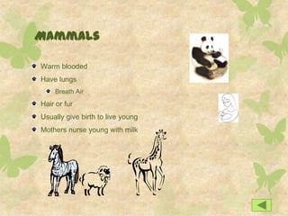 Power point animal classification | PPTX