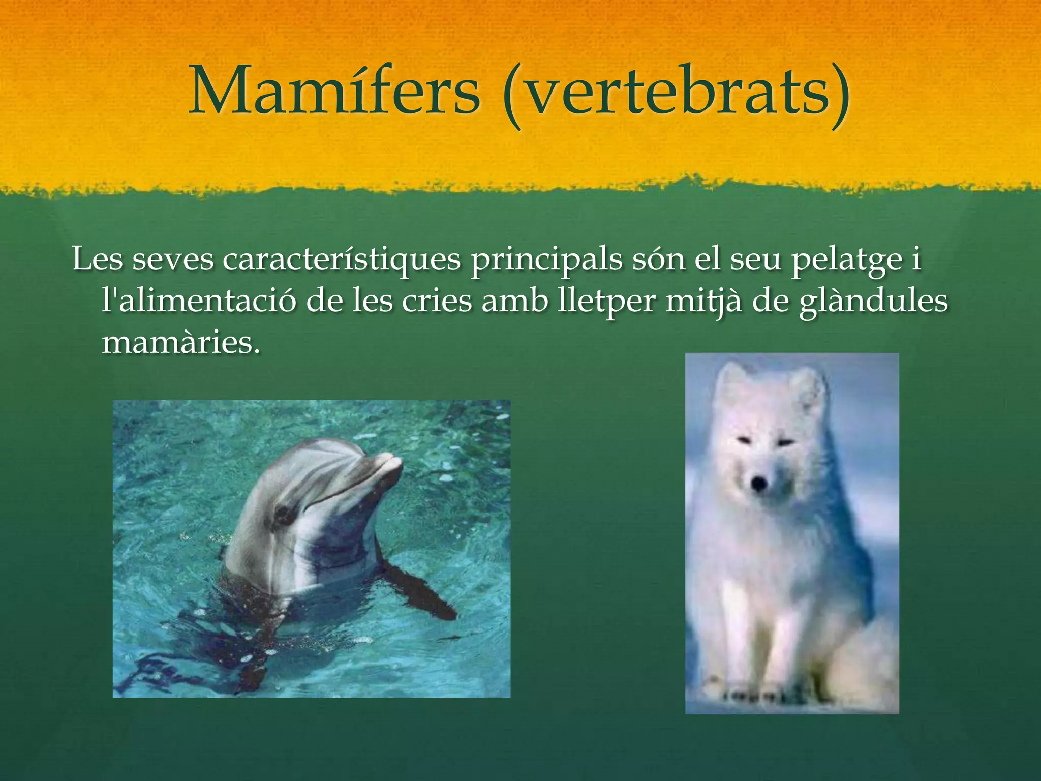 Powerpoint animals | PPTX