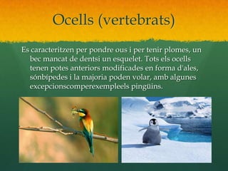 Powerpoint animals | PPTX