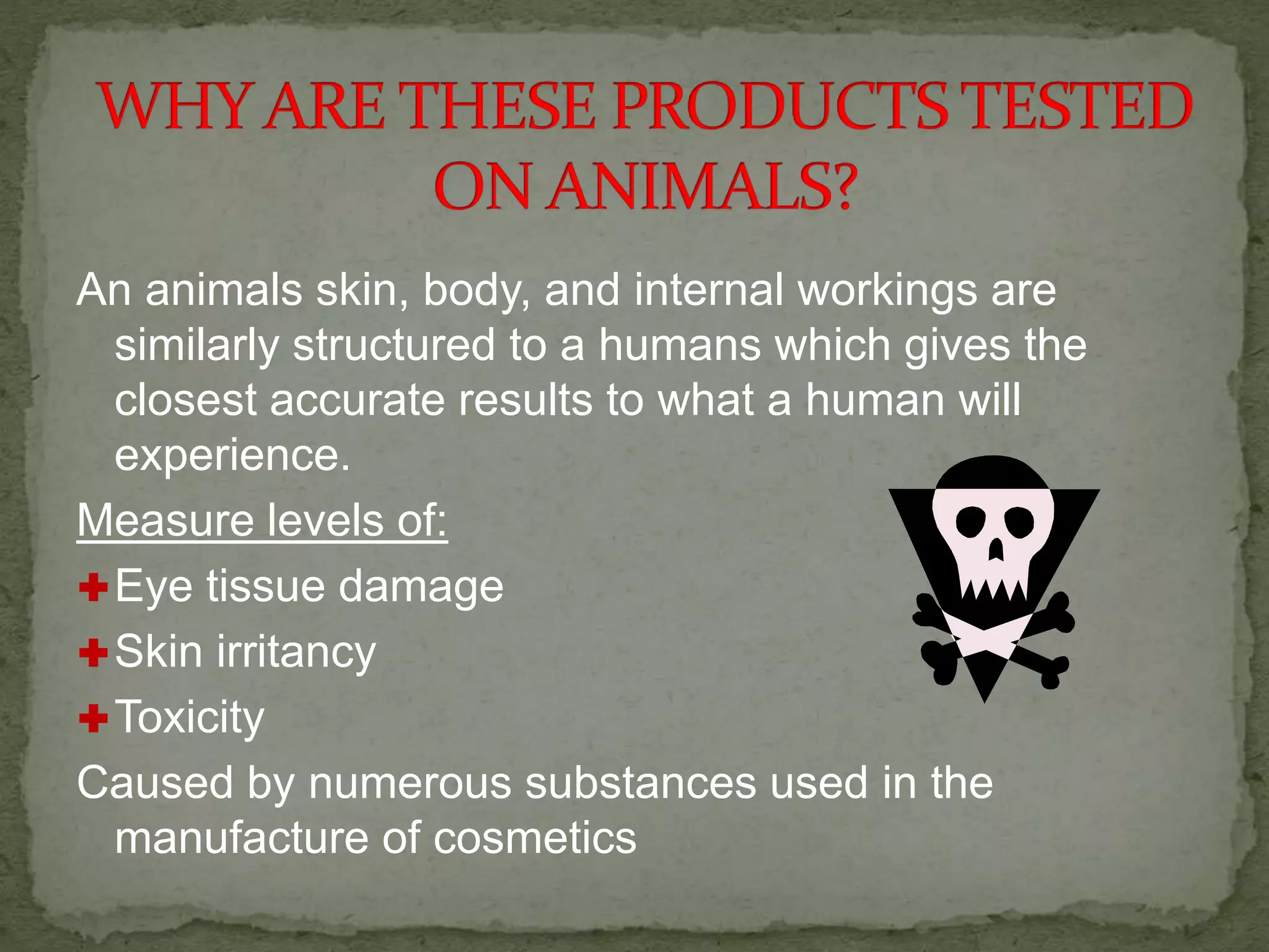 powerpoint animal testing.pptx
