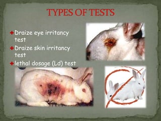 powerpoint animal testing.pptx