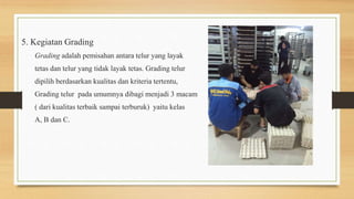 ANTON RAMDANI HATCHERY | PPT