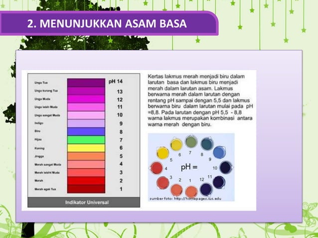 Power_point_asam_basa.pptx penjelasan materi asam basa kelas xi | PPTX