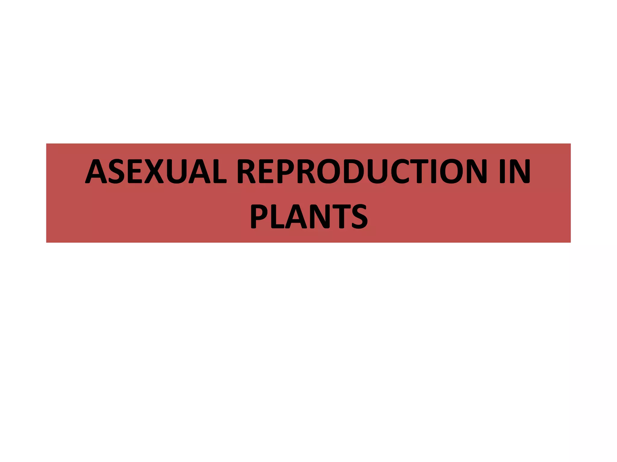 Powerpoint asexual reproduction in plants | PPTX