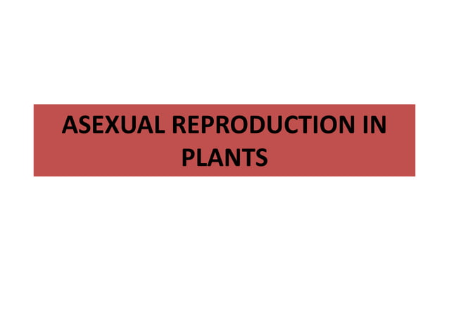 Powerpoint asexual reproduction in plants | PPTX