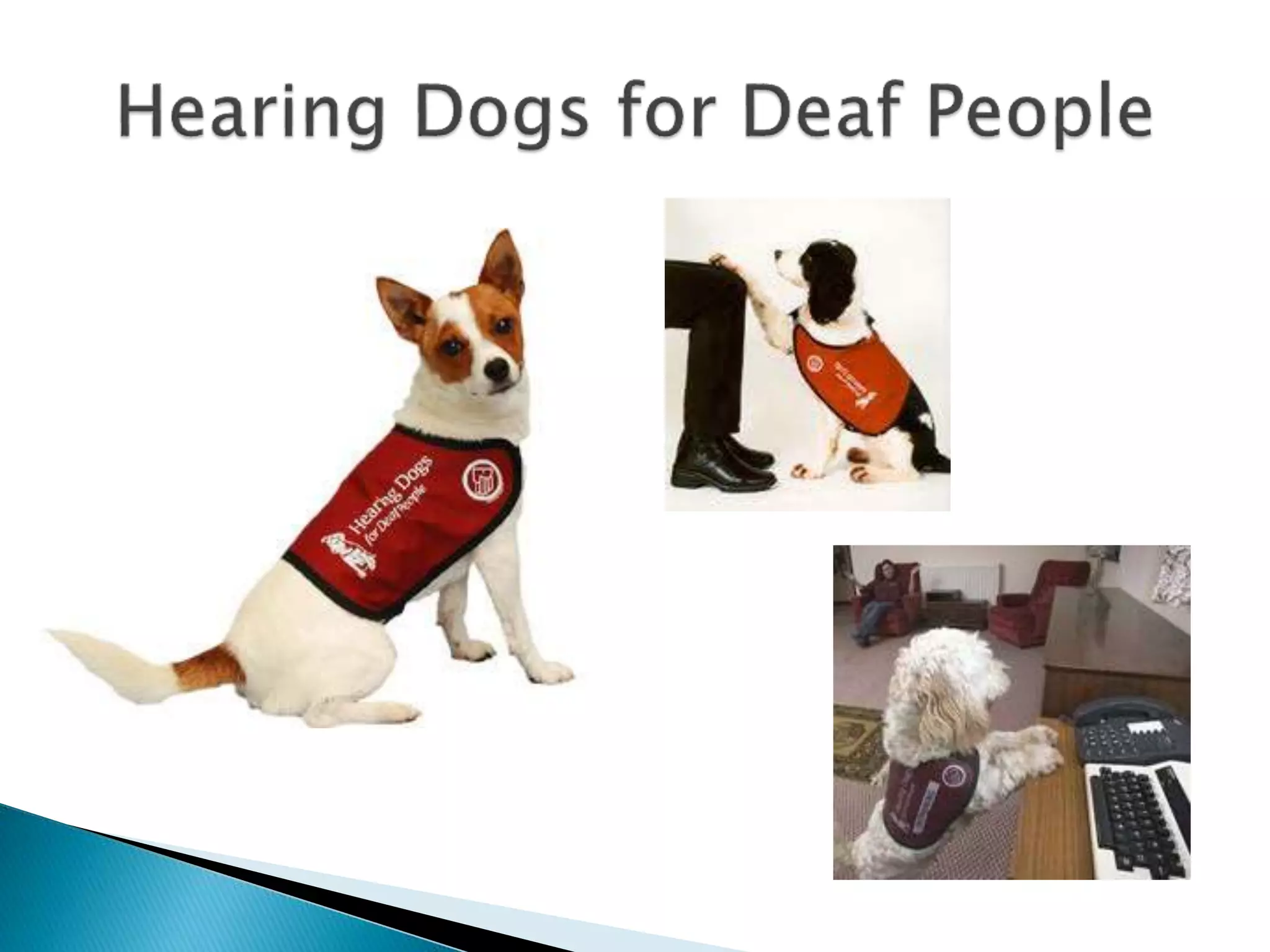 Powerpoint assembly deaf awareness | PPTX