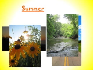 Powerpoint assignment | PPTX | Birds | Pets