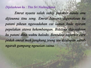 Pakakas Sunda | PPTX