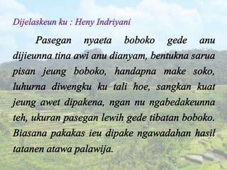 Pakakas Sunda | PPTX