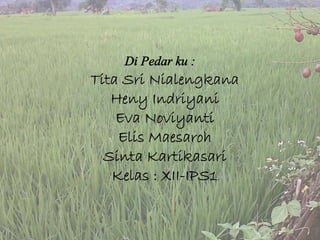 Pakakas Sunda | PPTX