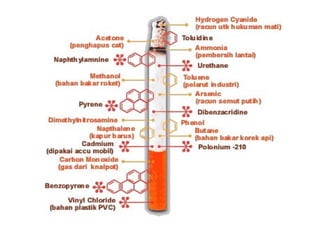 Bahaya merokok bagi kesehatan paru-paru manusia | PPTX