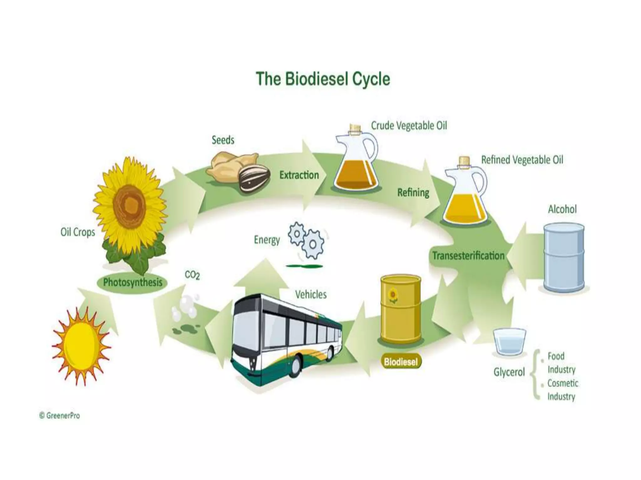 Power point biofuel | PPTX