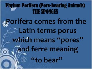 Kingdom Animalia | PPT