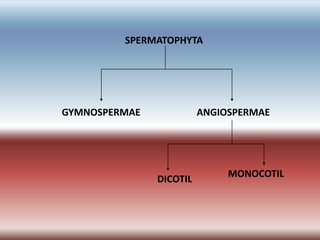 Powerpoint biologi. sepuluhenam (erlyta, nita, puji) | PPTX