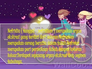 Powerpoint biologi annelida | PPTX
