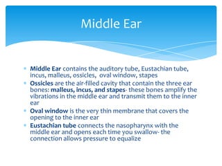 Module 13: Eye and Ear | PPTX