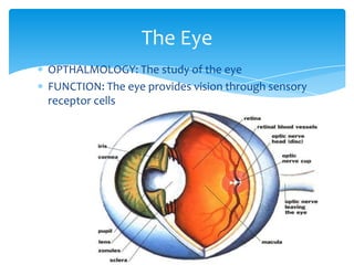 Module 13: Eye and Ear | PPTX