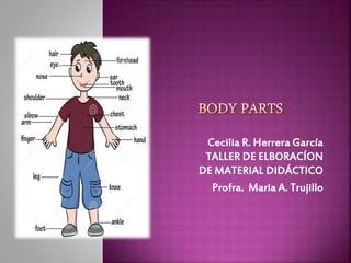 Body Parts | PPT
