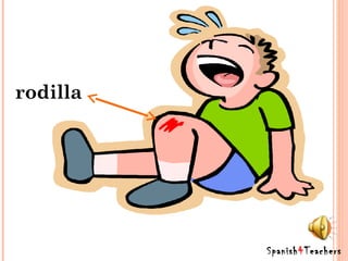 Powerpoint body parts_in_spanish | PPT