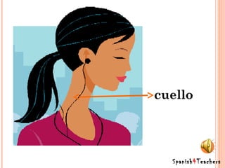 Powerpoint body parts_in_spanish | PPT