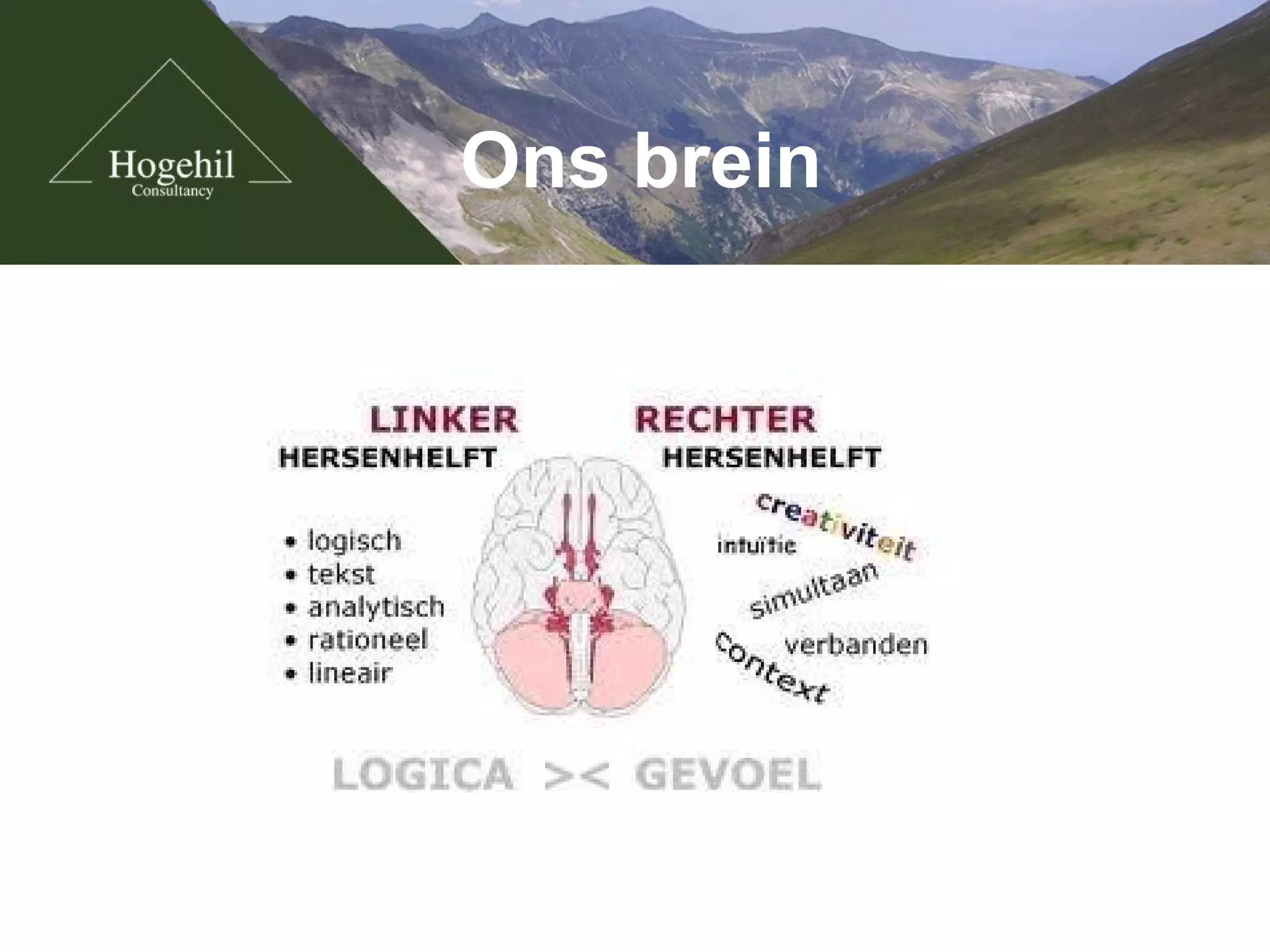 Powerpoint brain blg + quiet leadership | PPT