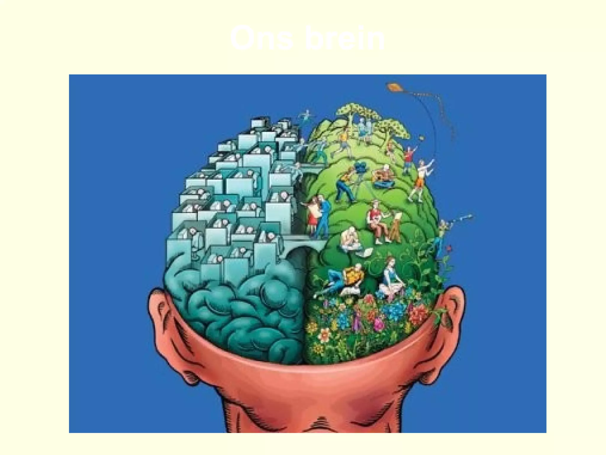 Powerpoint brain blg + quiet leadership | PPT