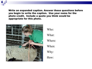 Teaching caption text | PPT