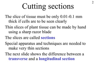 Powerpoint, cells and tissues | PPT | Gardening | Home & Garden