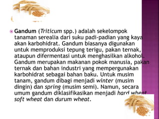 Power point cerealia | PPTX