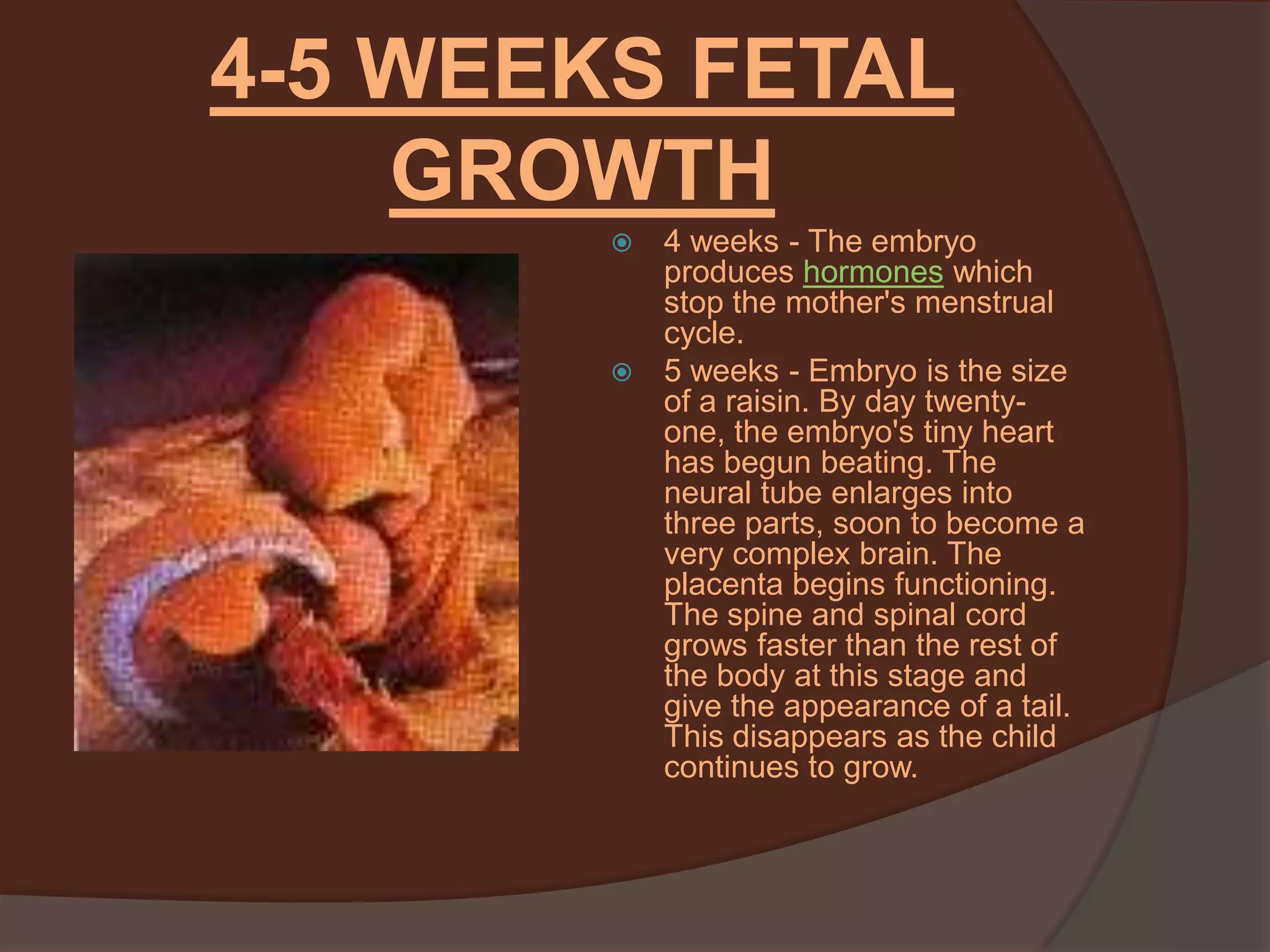 Fetal Development and the three stages of labor and delivery by Sandra ...