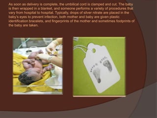 Fetal Development and the three stages of labor and delivery by Sandra ...