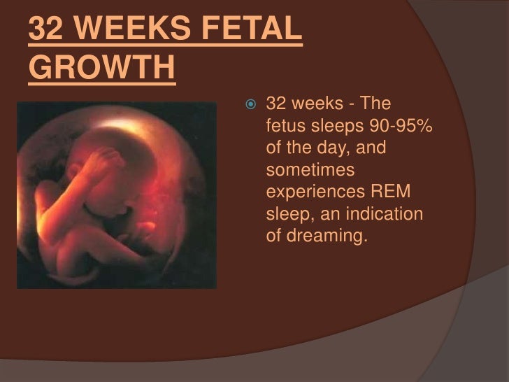 Fetal Development and the three stages of labor and delivery by Sandr…