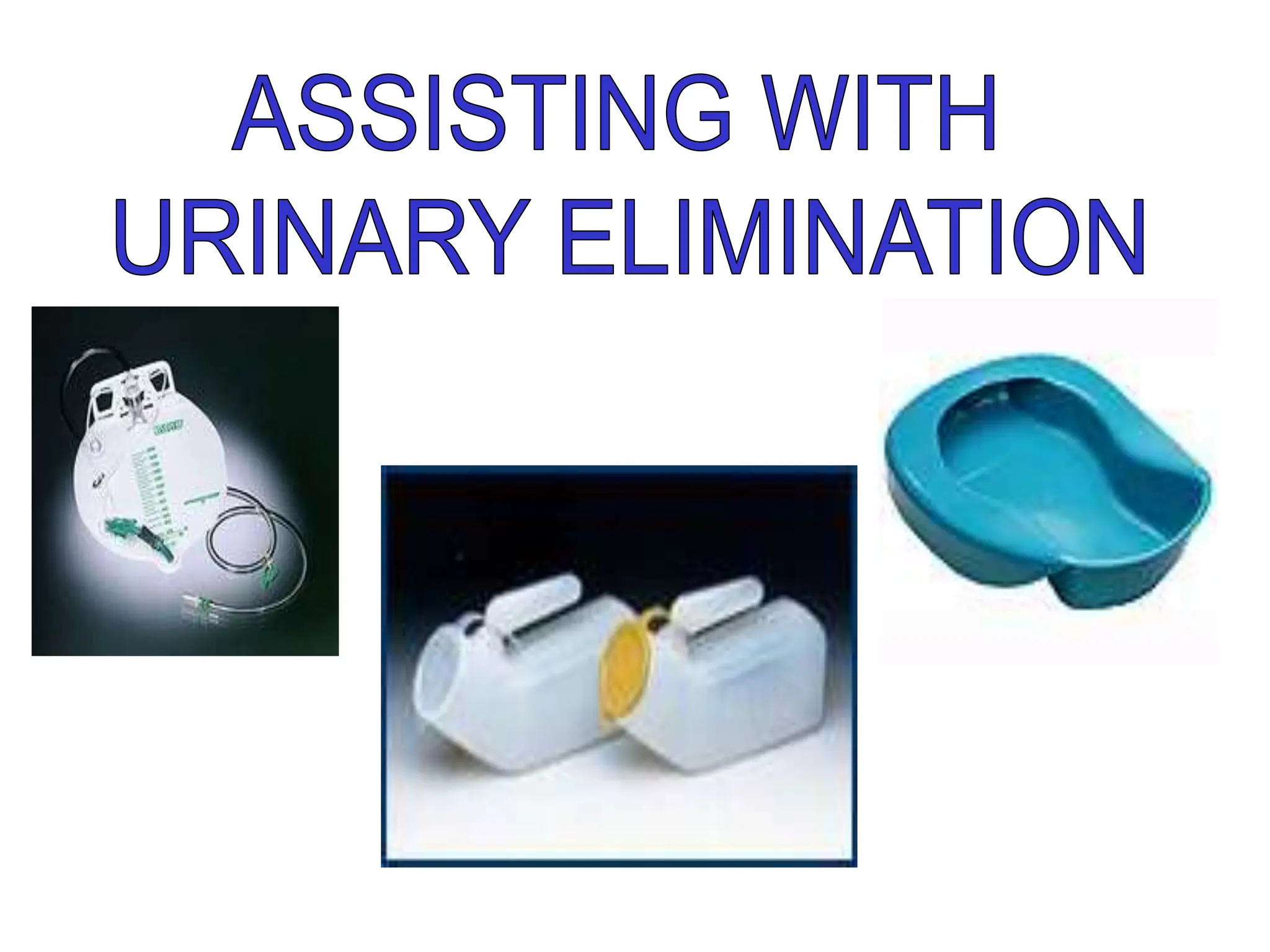 Power Point Chapter 15 and 19.ppturinary | PPT