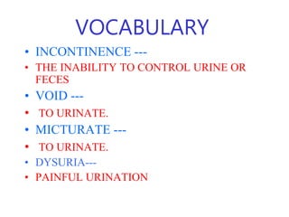 Power Point Chapter 15 and 19.ppturinary | PPT