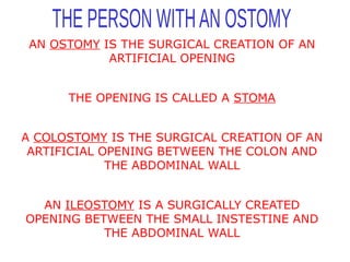 Power Point Chapter 16.pptx ABOUT ANATOMY &PHYSIOLOGY | PPTX