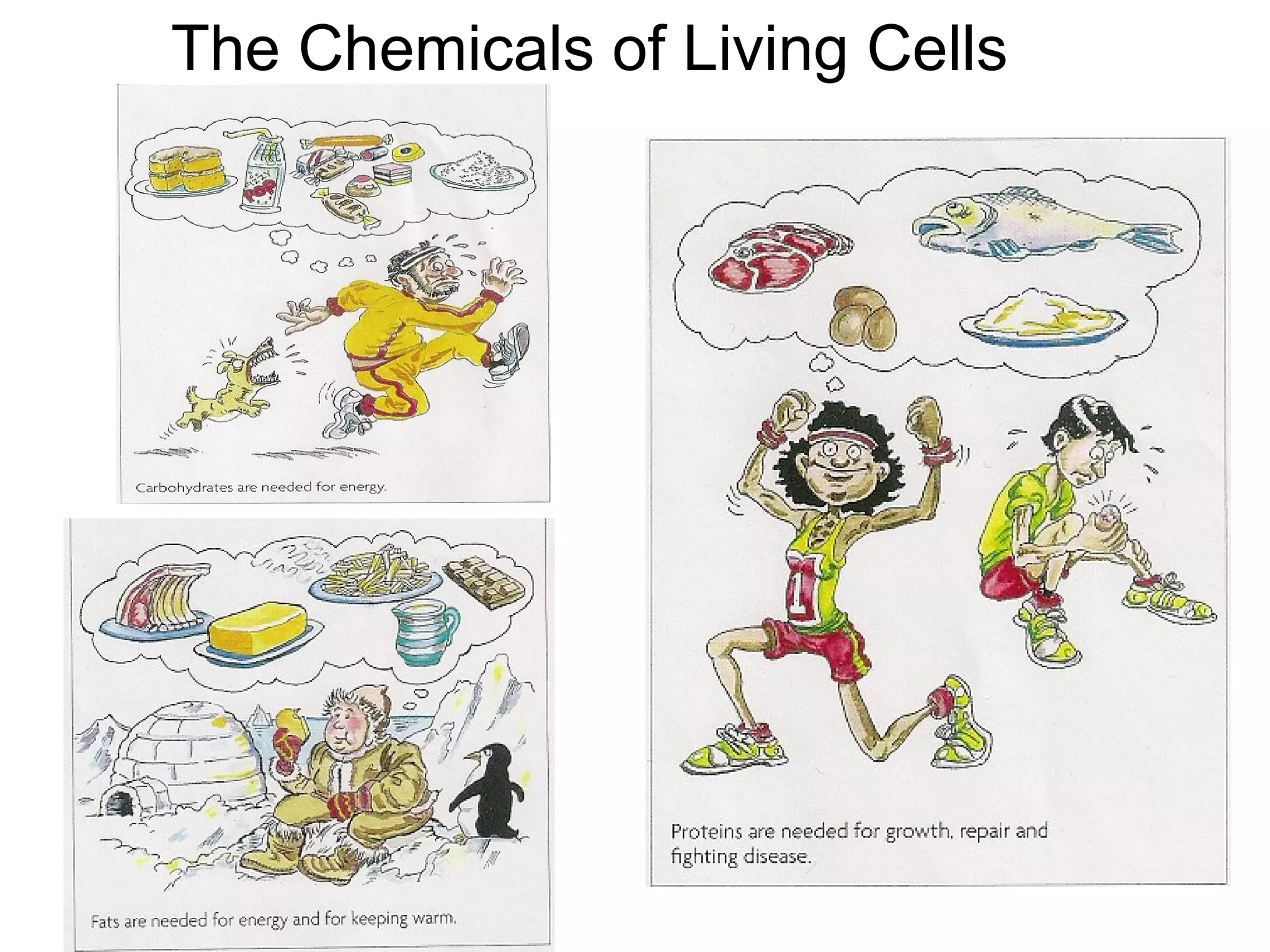 Powerpoint chemicals of-life - copy | PPT
