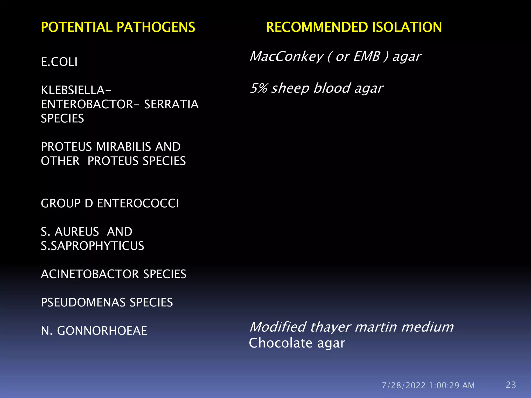 power point conventional bacteria identification.pptx