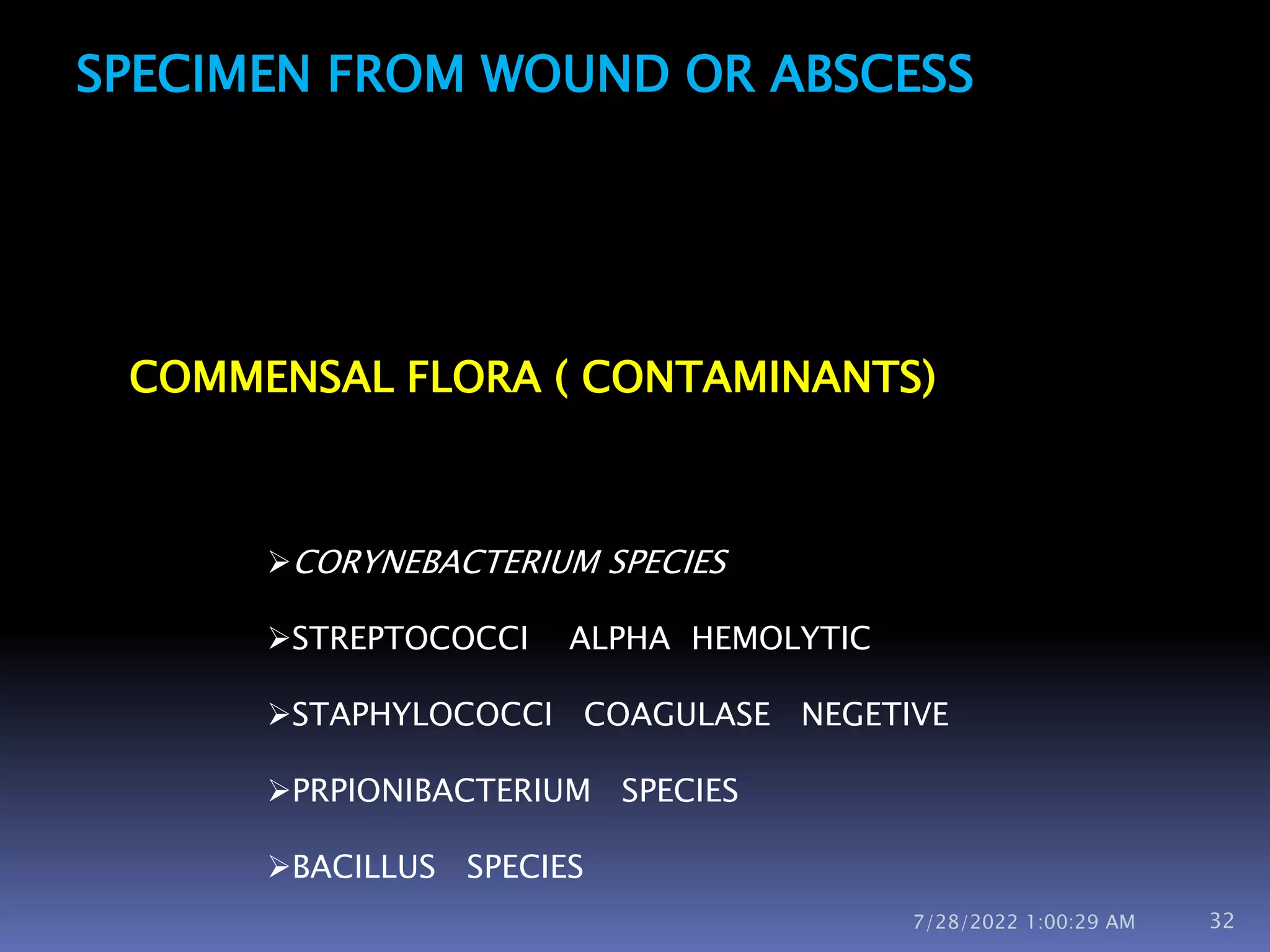power point conventional bacteria identification.pptx