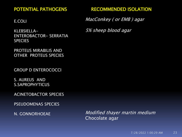 power point conventional bacteria identification.pptx