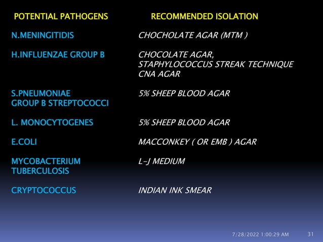 power point conventional bacteria identification.pptx