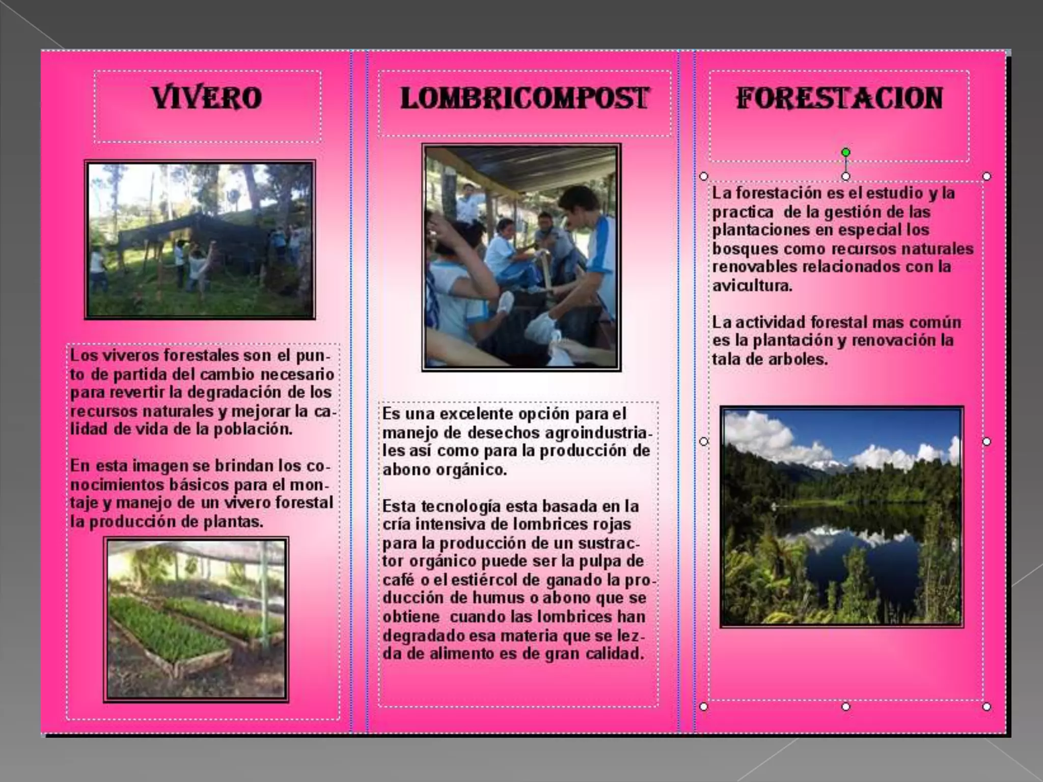 Powerpoint cubides | PPTX