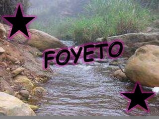 Powerpoint cubides | PPT